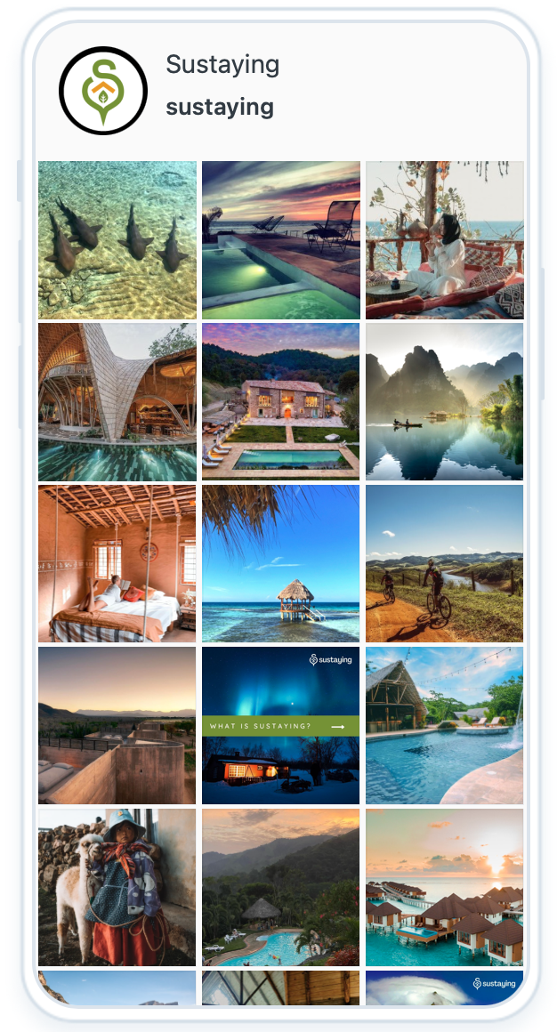 Examples Of Greenwashing In Tourism - Sustaying