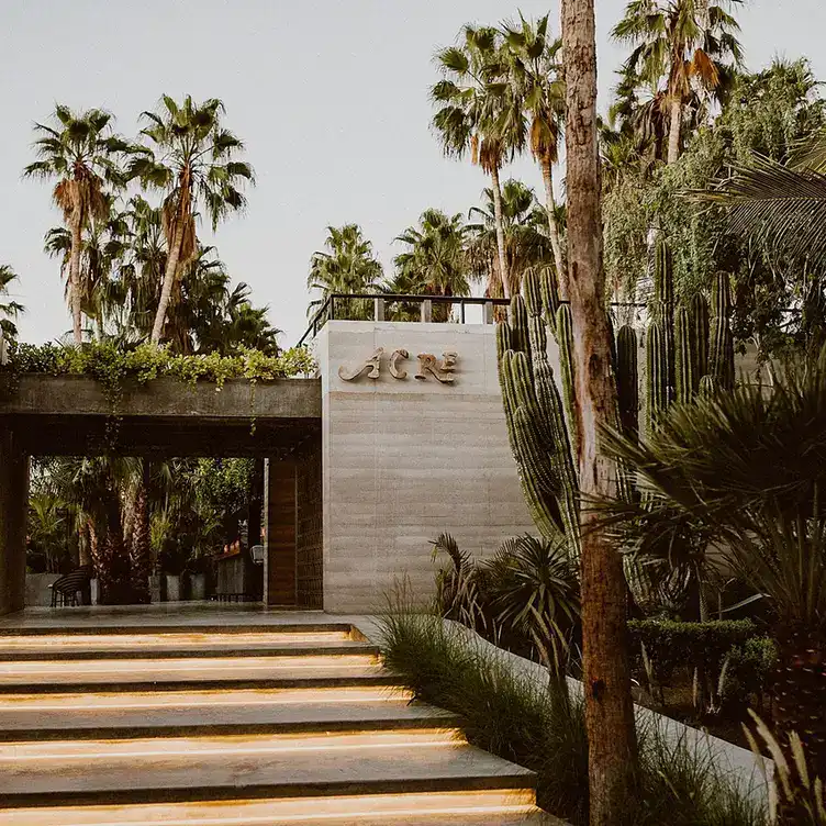 Acre Resort Tree Houses - Sustaying